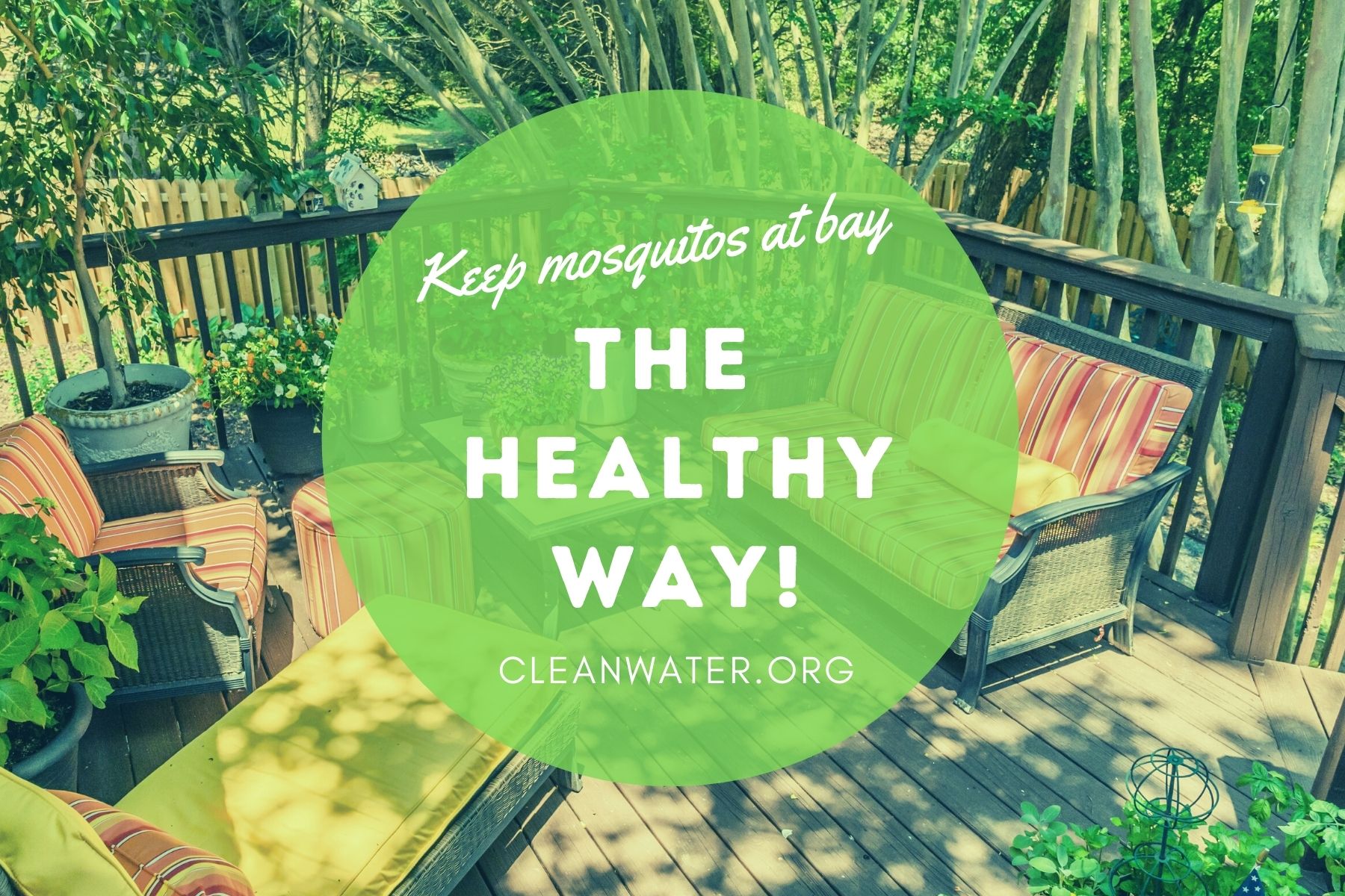 Minimizing Mosquito Exposure (without pesticides!) | Clean Water Action